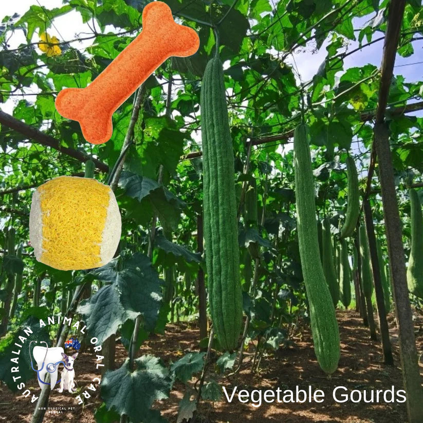 Dental Ball Toy - Loofah – Spitz Groom