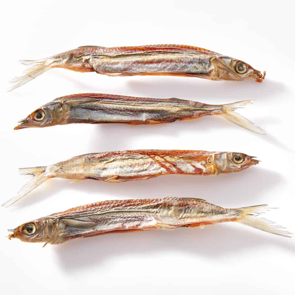Gar Fish (100g) – Spitz Groom
